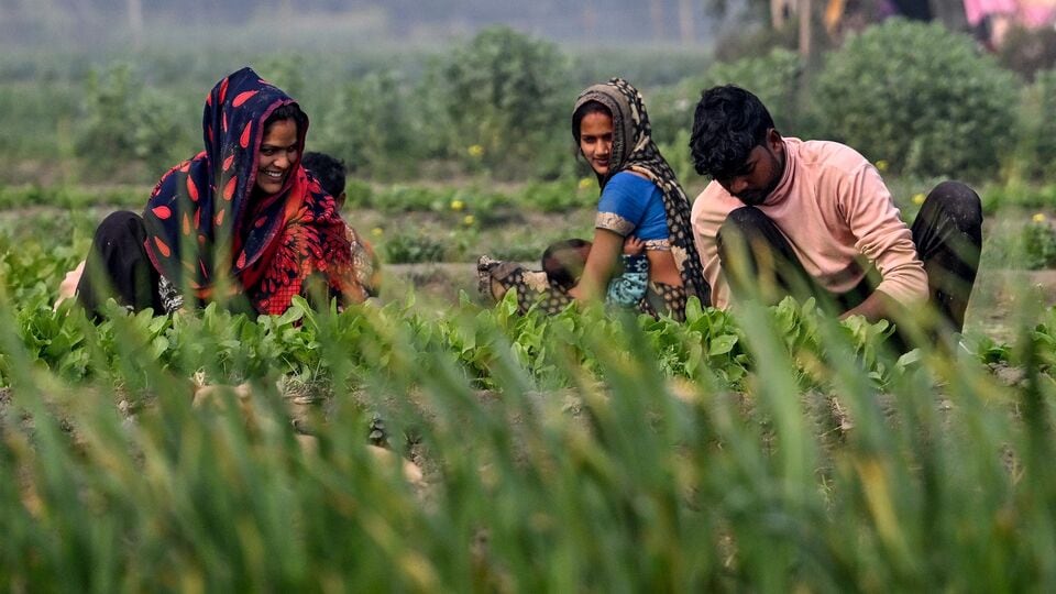 Budget 2025: How Dhan Dhaanya Krishi Yojana will benefit 1.7 crore ...