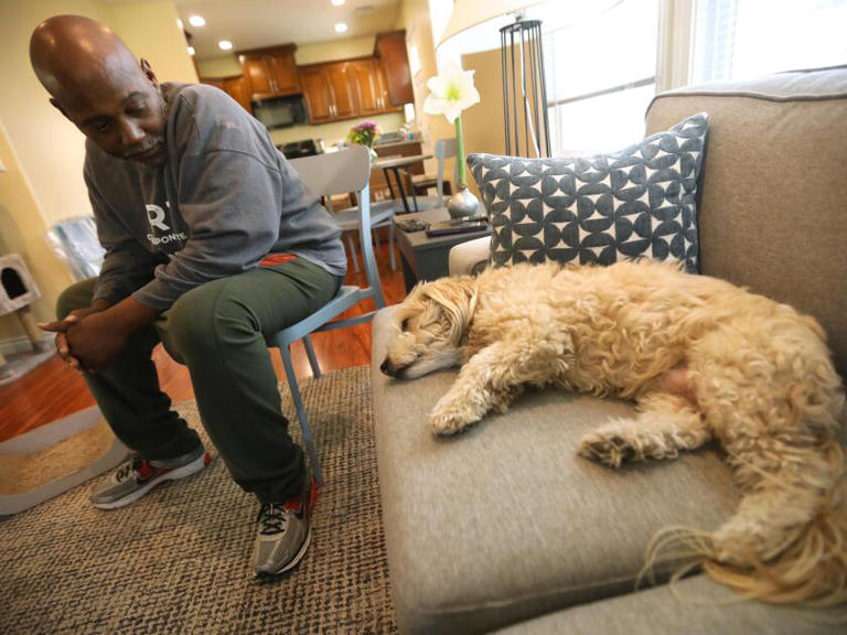 Column: Chickens, cats, dogs, goldfish: From the front lines of the ...