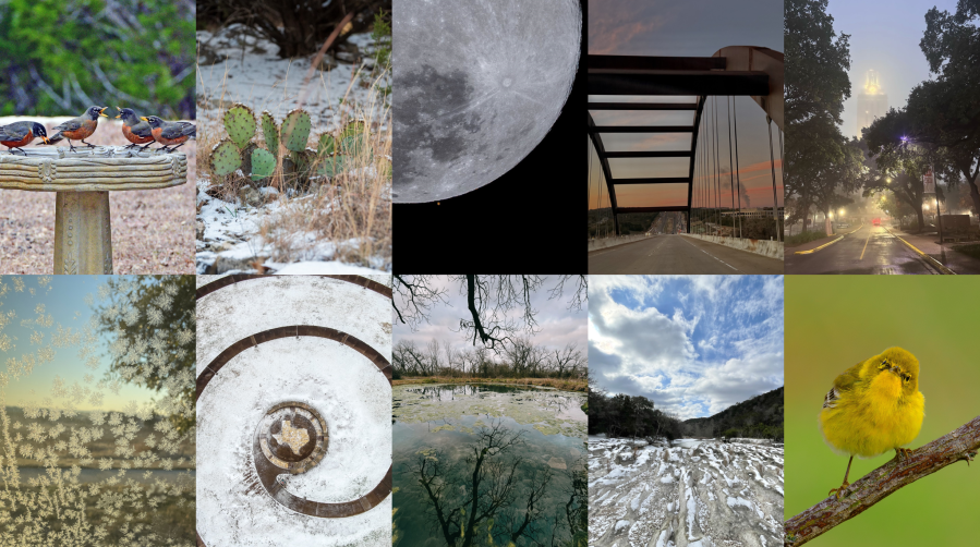 Photo of the Month poll: Help us choose the best viewer photo of ...