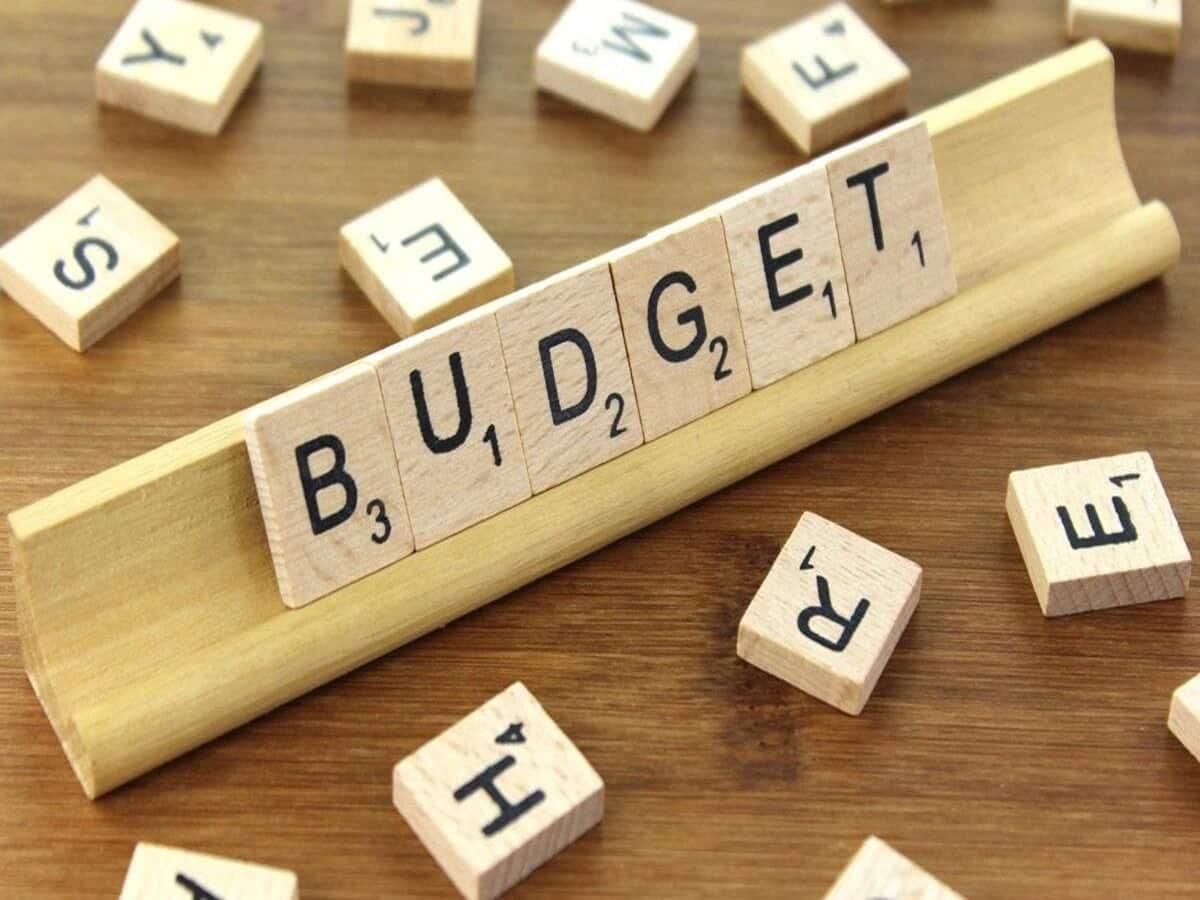 Budget 2026: What were the highlights of health budget 2026?