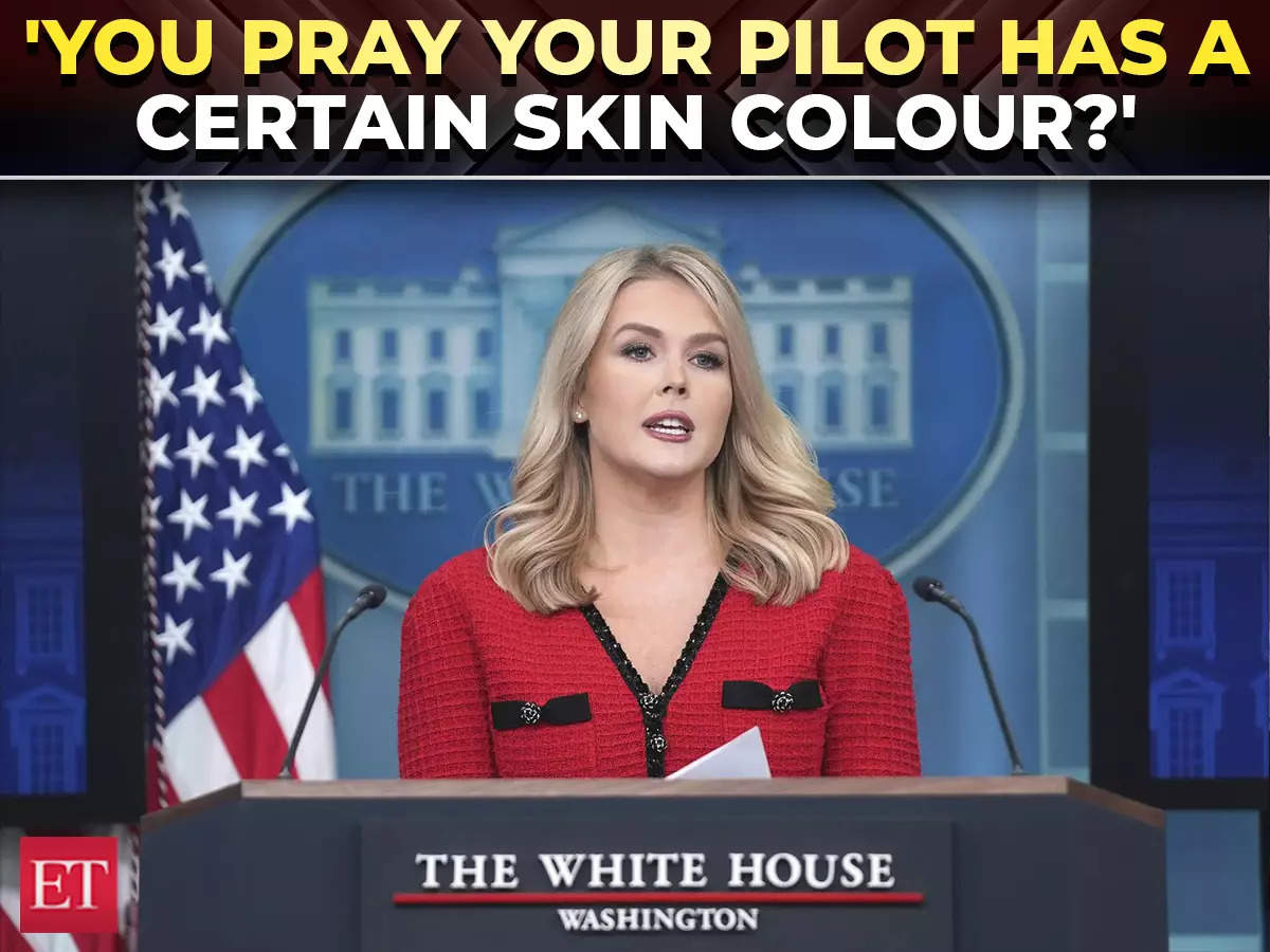 'You pray your pilot has a certain skin colour?': Leavitt 'roasts ...