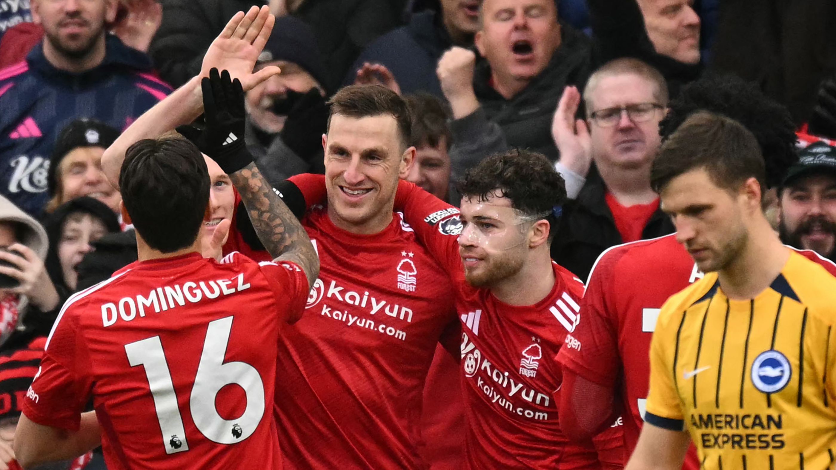 'Sack the whole team!' - Brighton fans left apoplectic after Seagulls ...