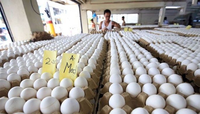 DA taking steps to prevent egg shortage, price surge