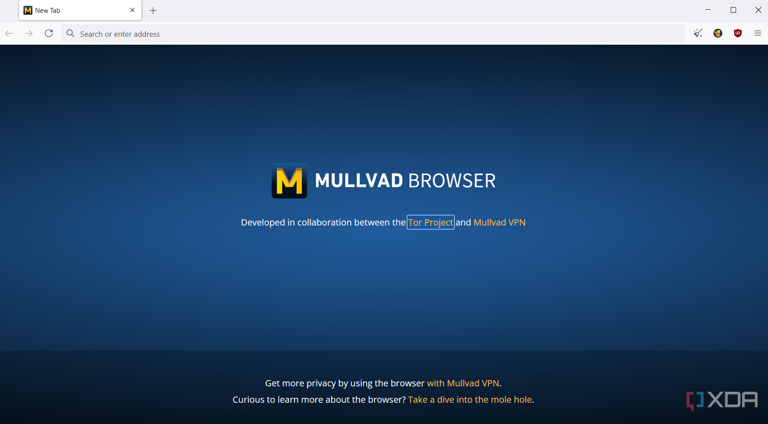 I ditched Chrome years ago, here are 5 open-source browsers I recommend instead