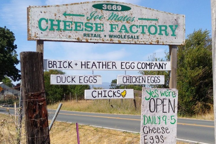 Family-owned Bay Area cheese company closes factory after 45 years