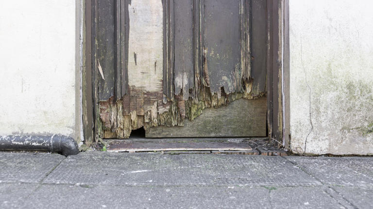 Should You Fix Or Replace Your Water-Damaged Front Door? Here's What We ...