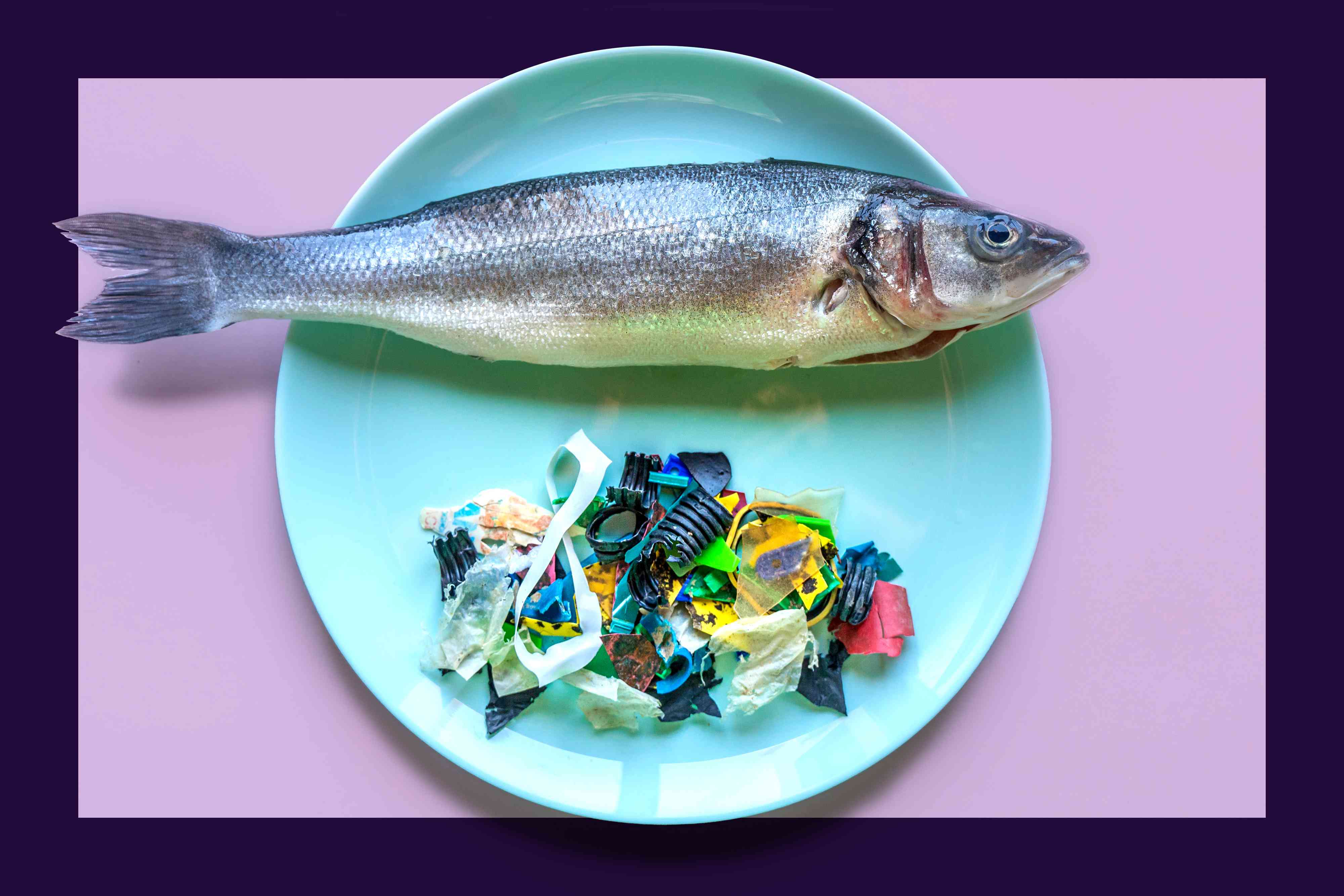 How Microplastics Sneak Into Your Food — and What You Can Do About It