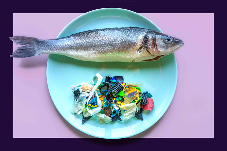 How Microplastics Sneak Into Your Food — and What You Can Do About It