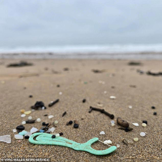 Lego piece turns up on beach 28 years after it was washed overboard