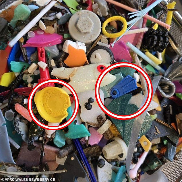 Lego piece turns up on beach 28 years after it was washed overboard