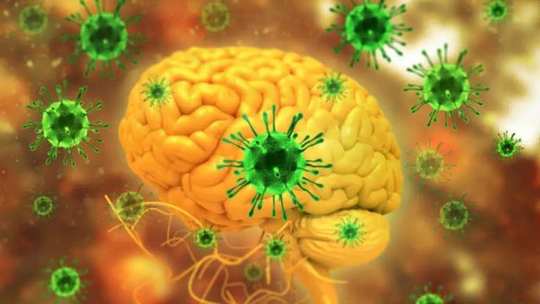 First-Ever Henipavirus Confirmed In North America—Here Are The Warning ...