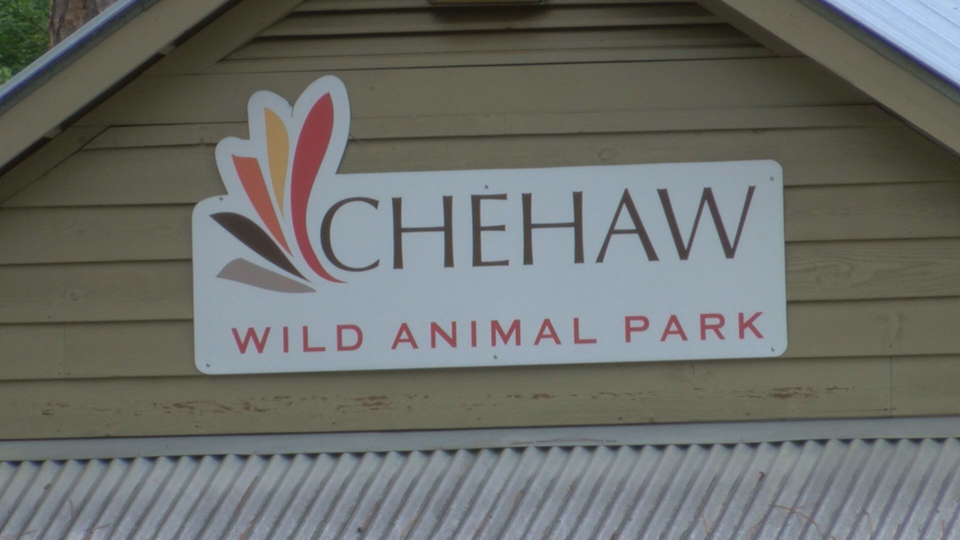 Director of Chehaw Park & Zoo announces resignation