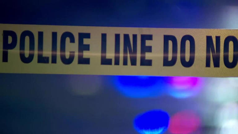 2 dead, 2 injured in Santa Monica hit-and-run crash