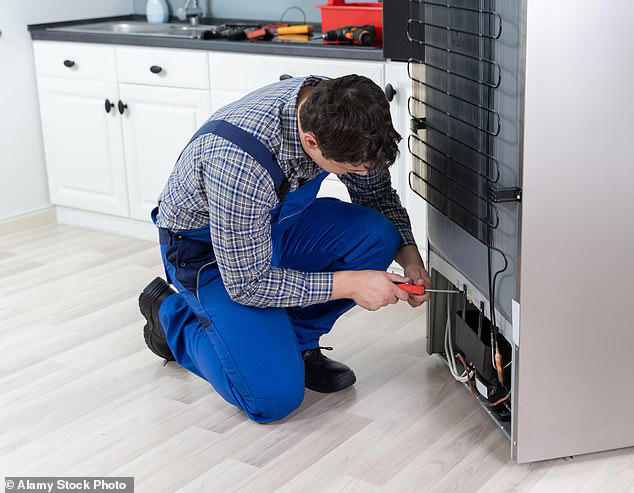 TONY HETHERINGTON: Time to strike off fake repair boss stealing your cash