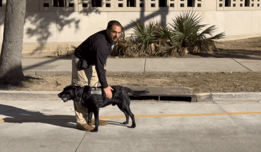 Additional Department of Homeland Security agents in town to keep Super ...