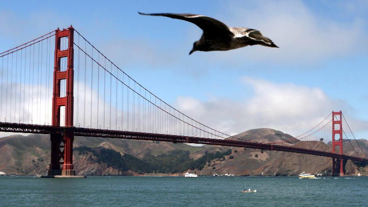 Bay Area companies dominate Glassdoor's 100 best places to work list