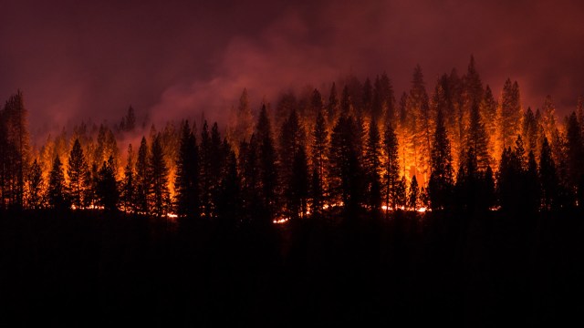 Insurance commissioner sounds the alarm about ripple effects from ...