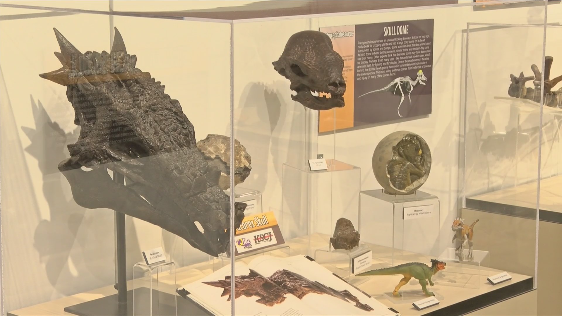 "Dinosaurs of Hell Creek" Exhibit Opens