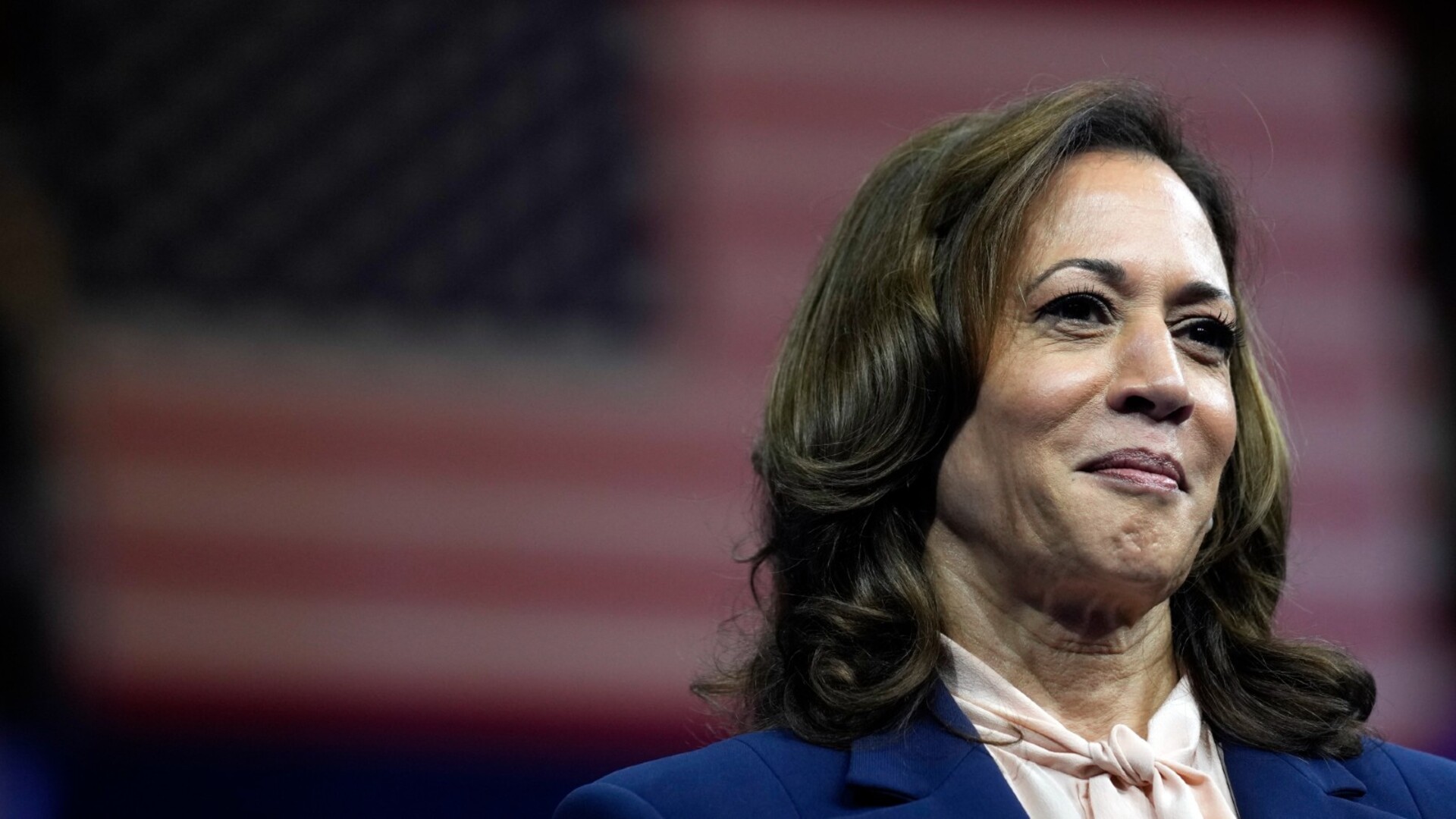 'Surprising amount of support’ from Democrats for Kamala Harris to re ...