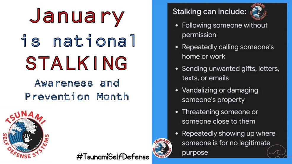 Tsunami Self Defense educates on stalking prevention and personal ...