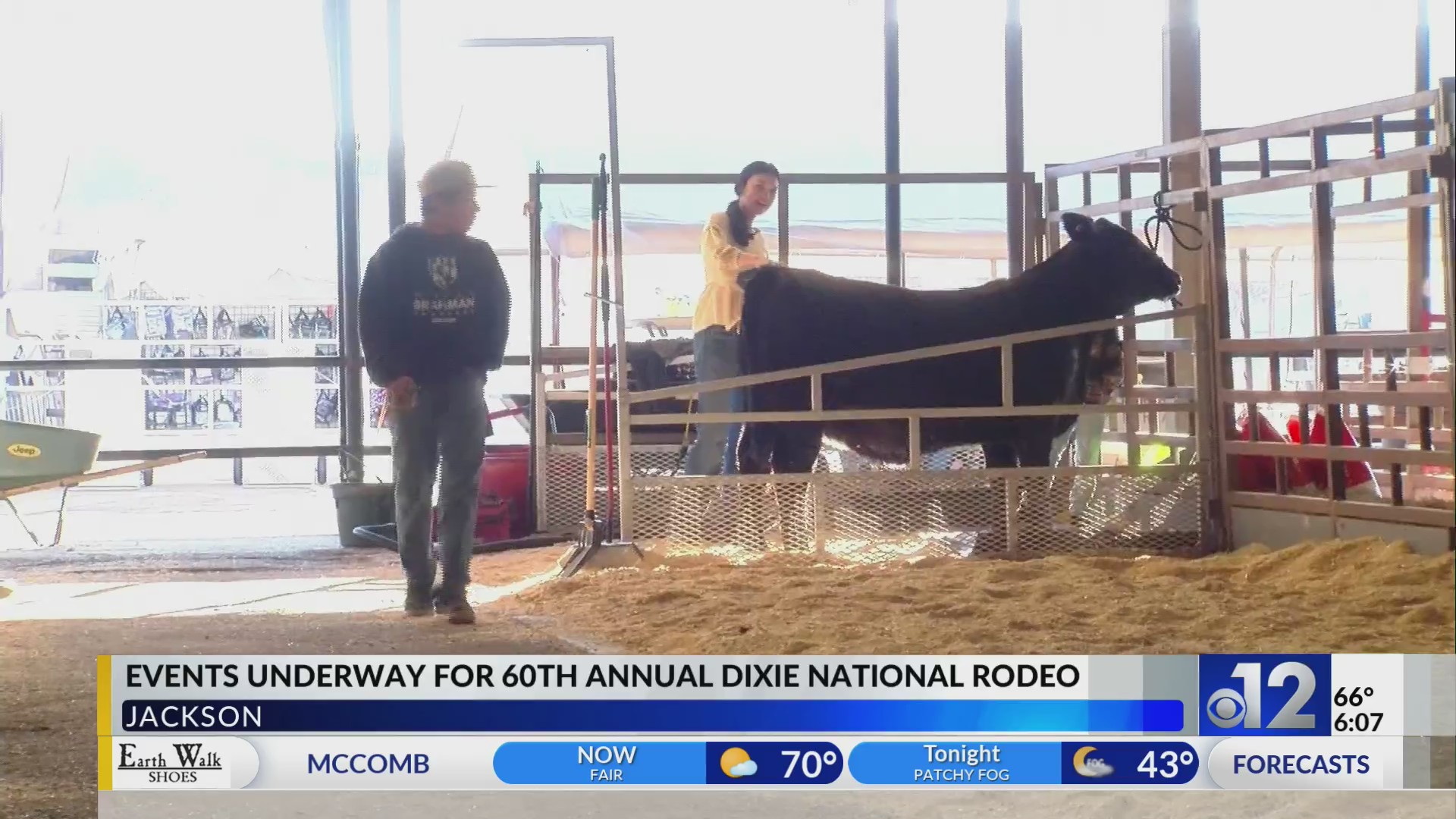 60th Annual Dixie National Livestock Show and Rodeo events underway