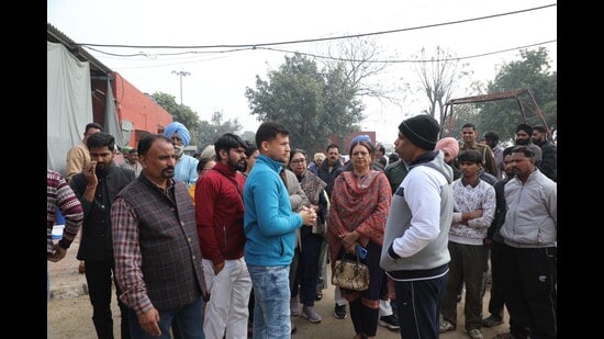 Chandigarh: Eight cattle die of electrocution at Maloya cowshed