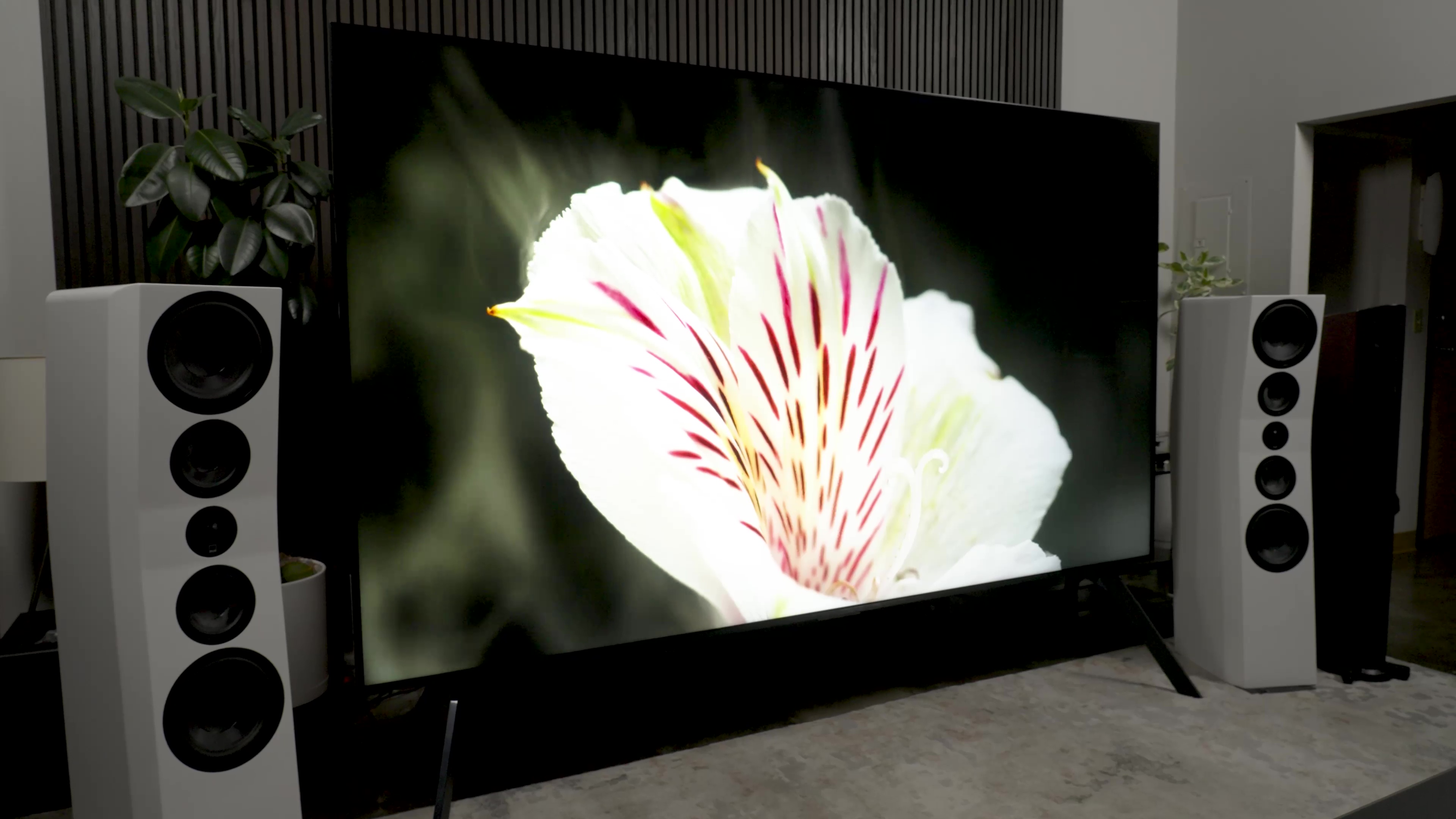 Save up to 50% off some fantastic TCL TVs ahead of the Super Bowl