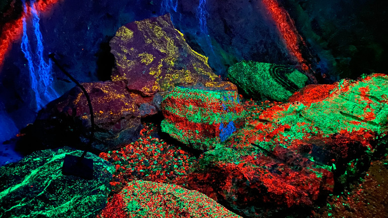 'World-Famous Fluorescent Rocks' Glow At One Of New Jersey's Most ...