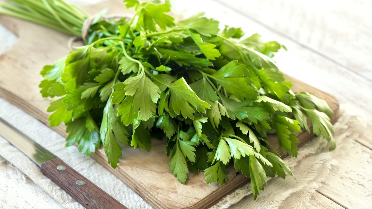 Prezzemolo: proprietà, benefici e controindicazioni