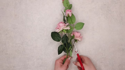 Einfache Hack-Tricks für den täglichen Gebrauch