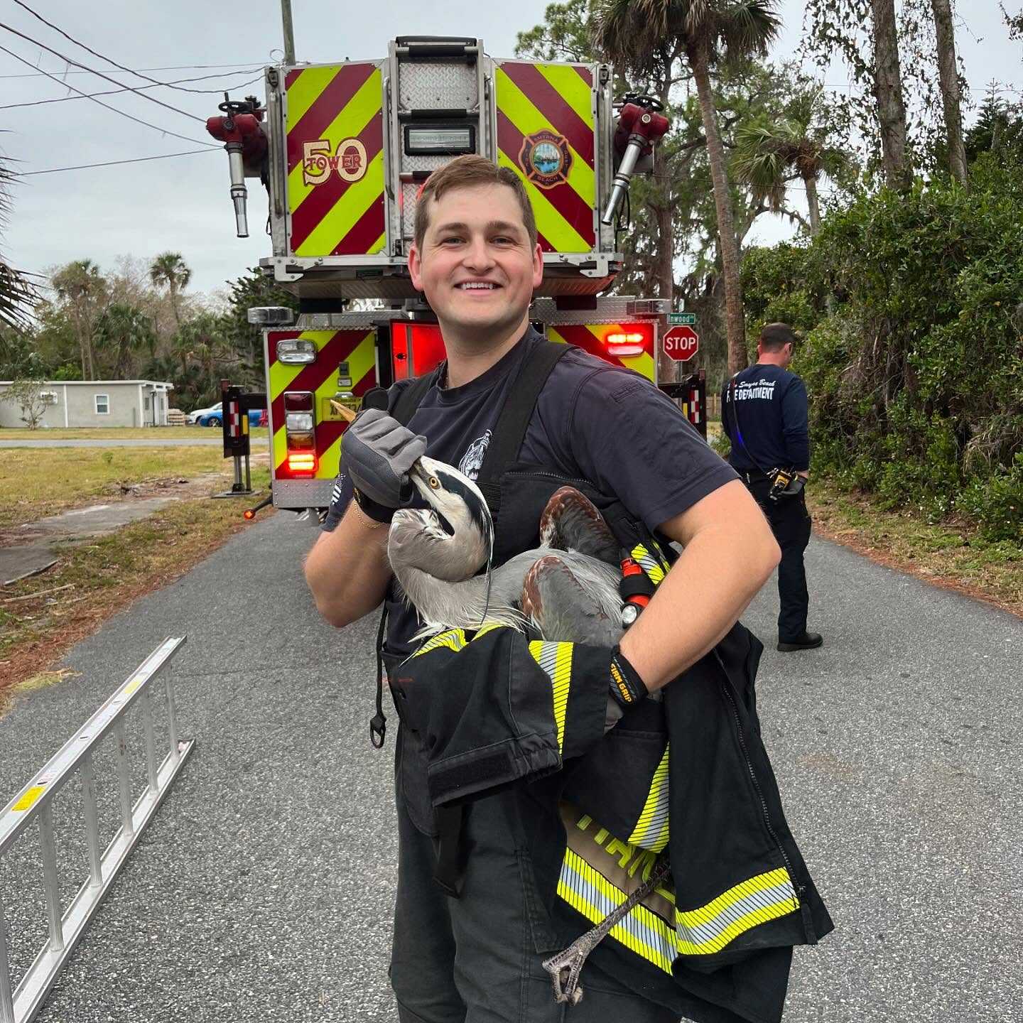 Firefighters rescue entangled bird from tree in New Smyrna Beach