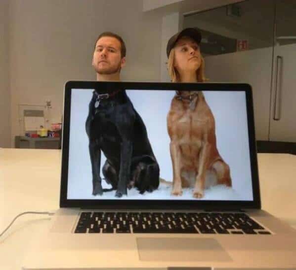 45 Funny And/Or Random Pictures Perfect For A Saturday Afternoon Scroll ...