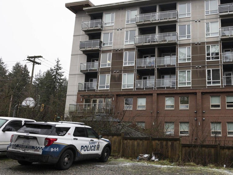 One person shot dead by Surrey police during attempted arrest