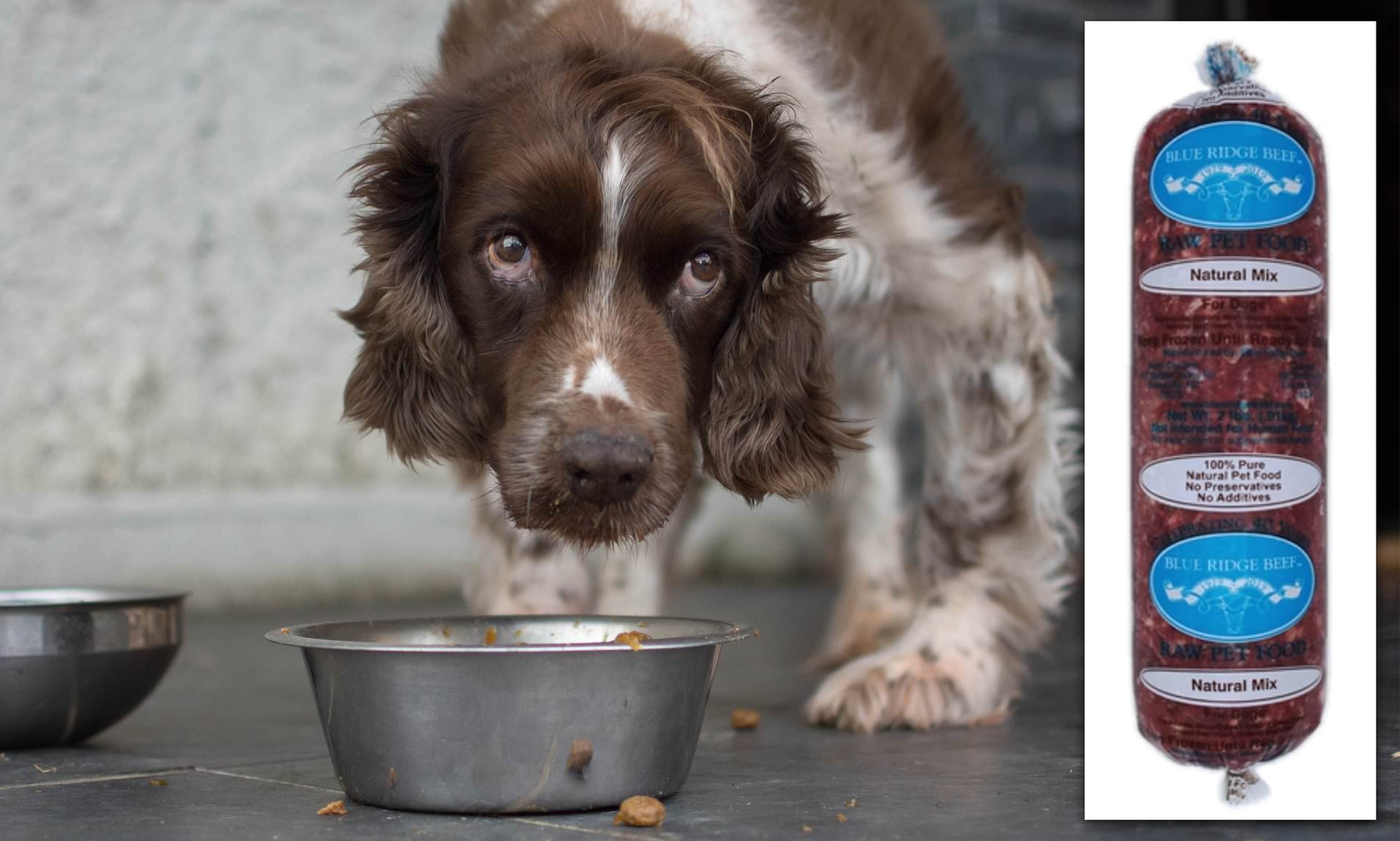 Dog food recalled across eight states over salmonella concerns... just ...