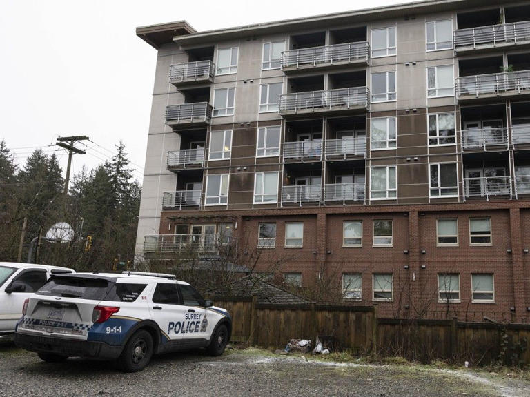 One person shot dead by Surrey police during attempted arrest