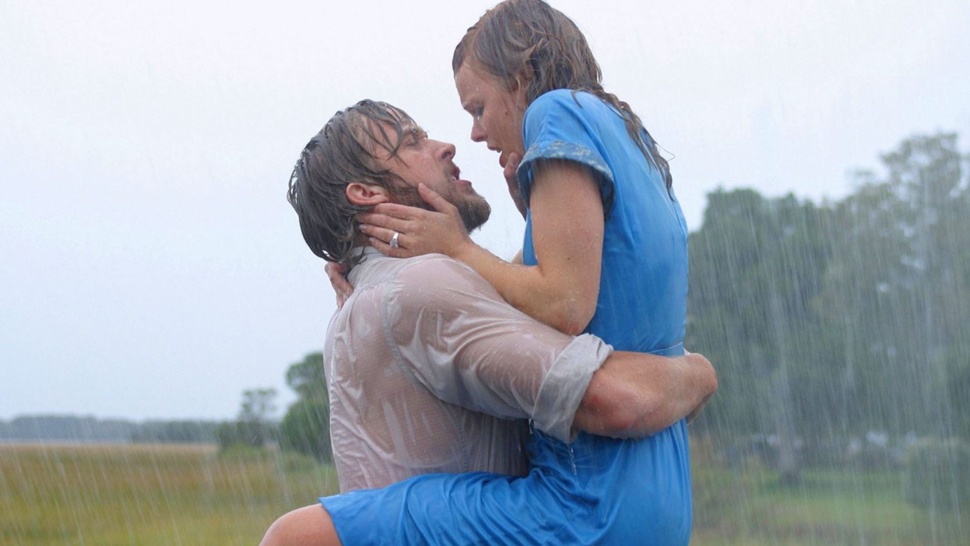 'The Notebook' Explained in 3 Minutes or Less