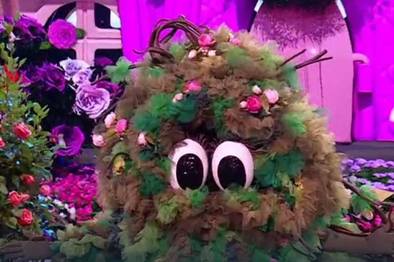 The Masked Singer's Bush escapes ITV axe as star's career update ...