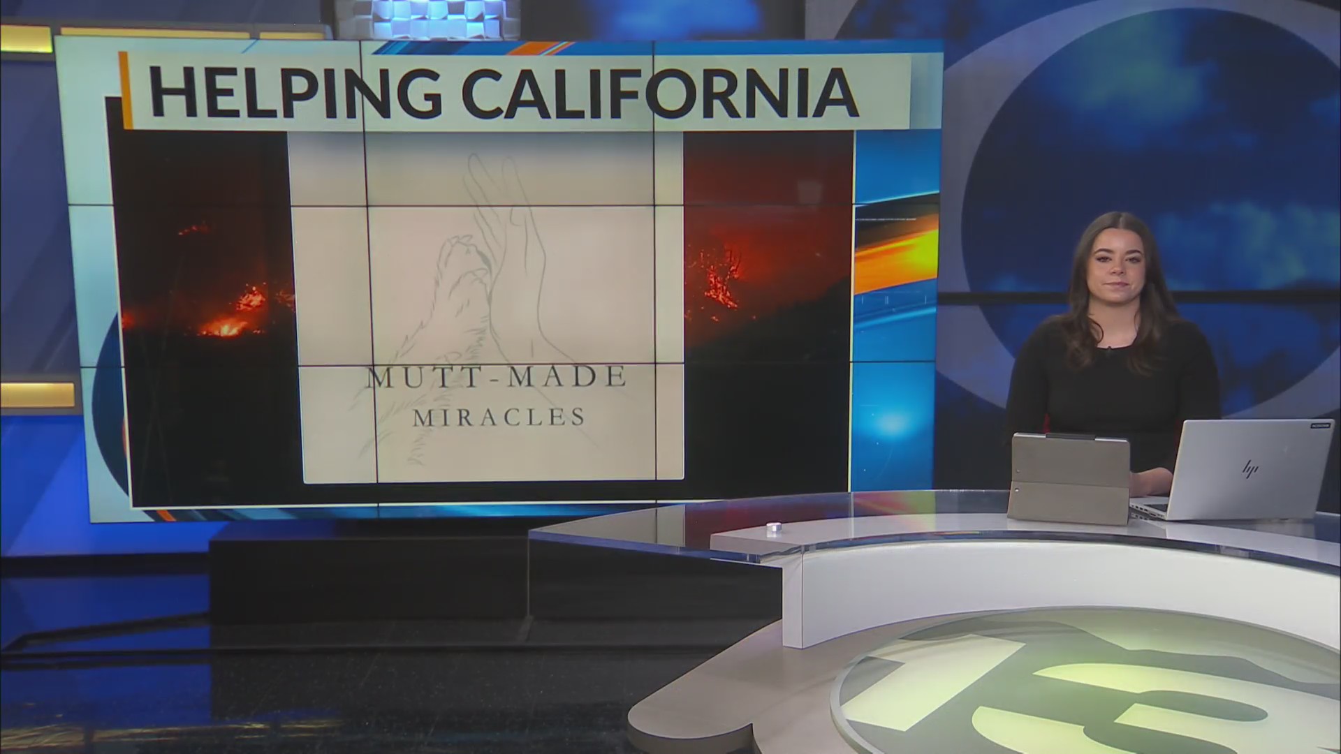 Local animal nonprofit holding event to help California fire victims