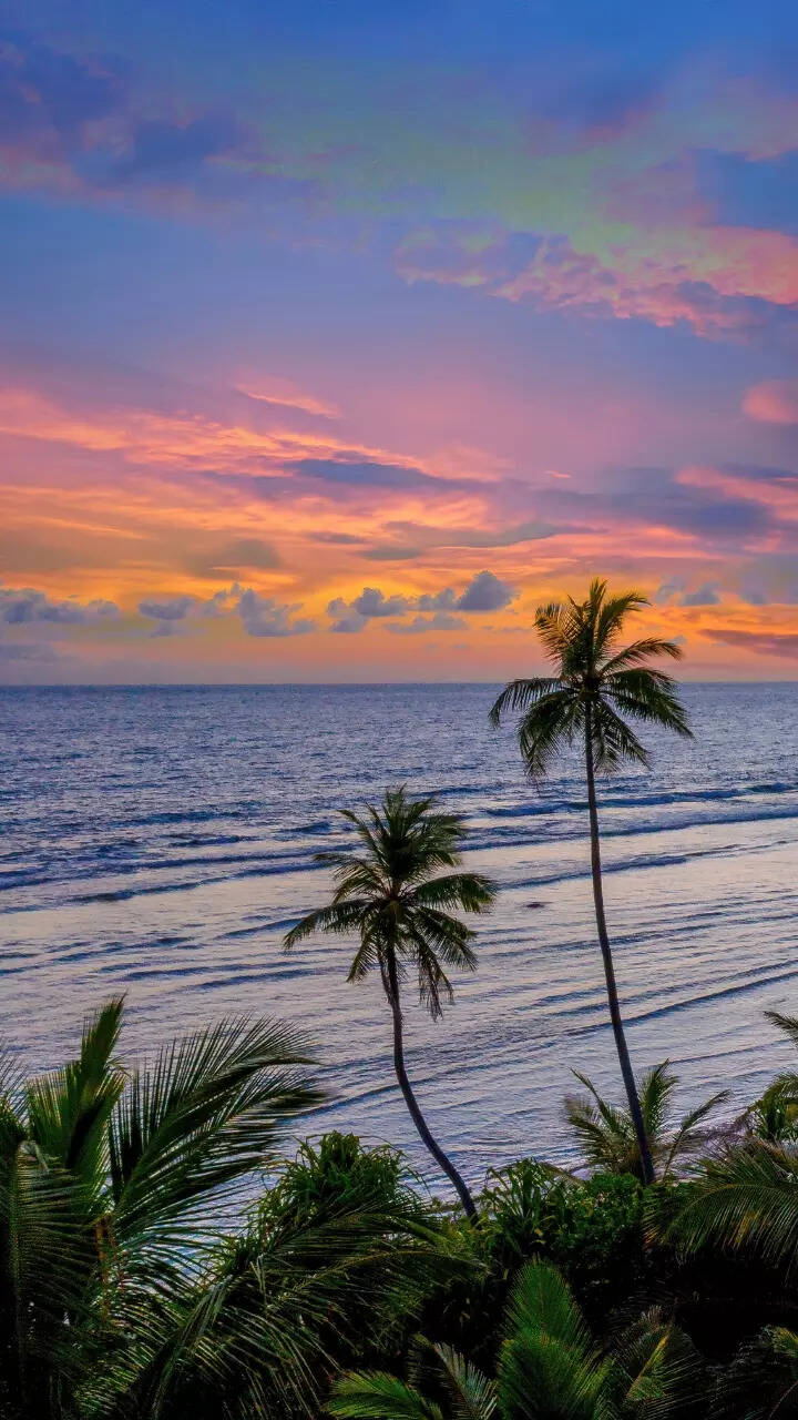 10 things we love the most about Goa