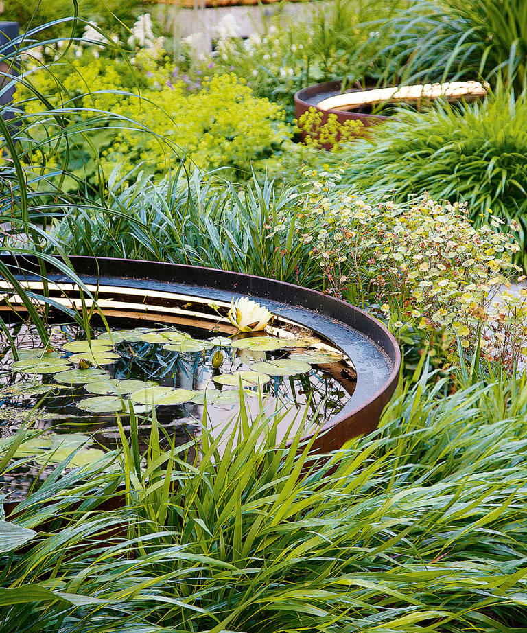 Front yard pond ideas – 6 beautiful ideas to add tranquility as well as ...