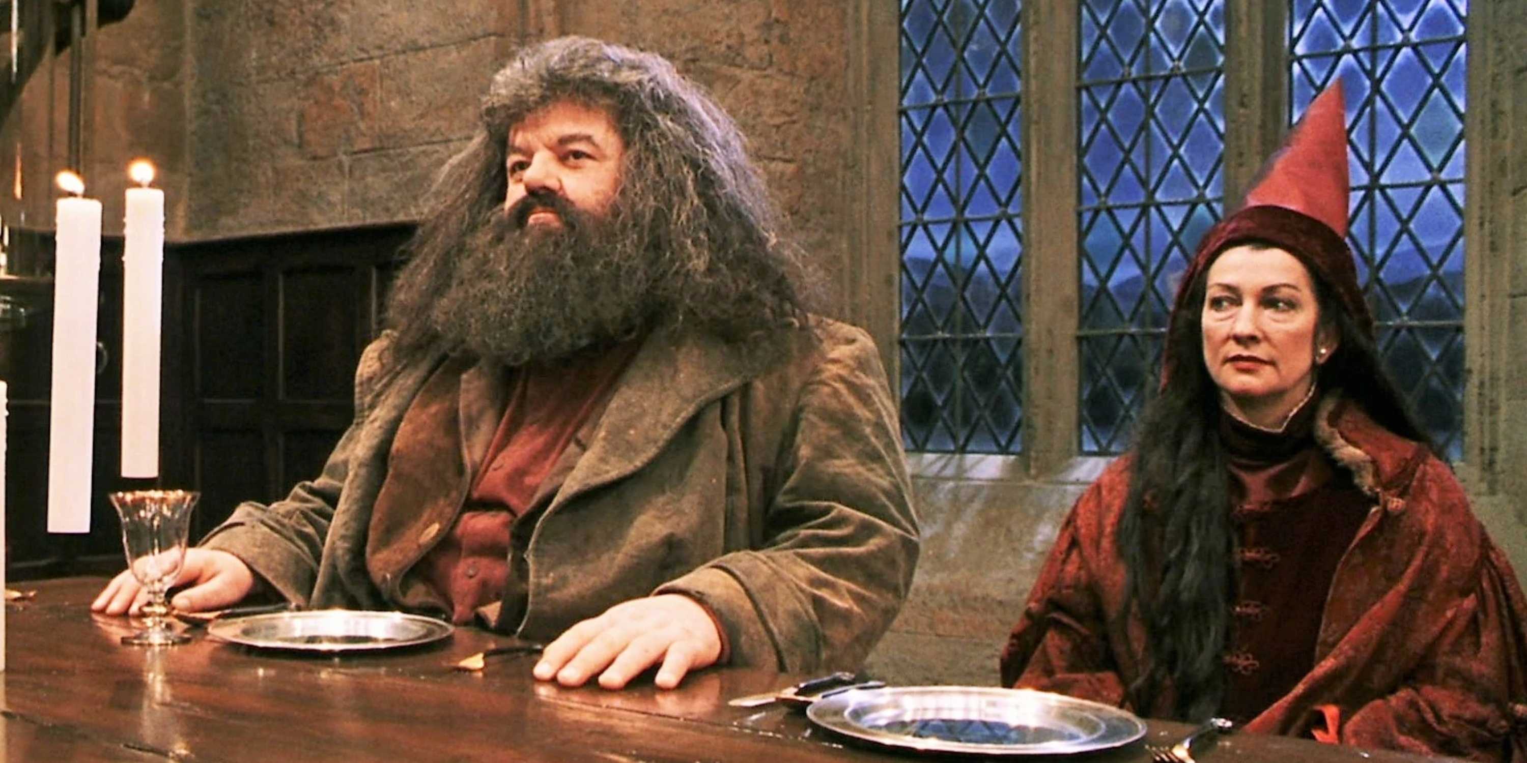 10 Things Only Harry Potter Book Readers Know About Hagrid