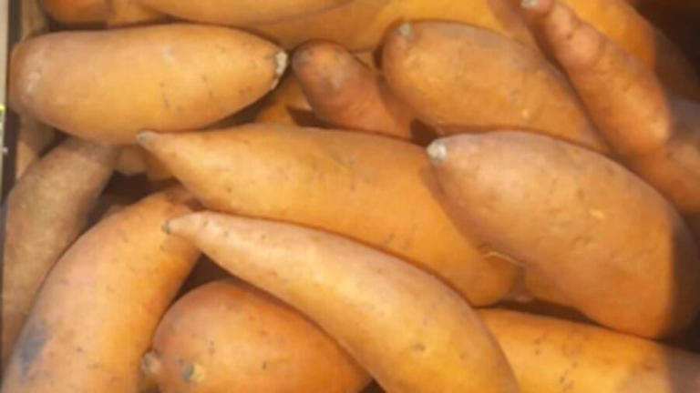 Patata dolce e patata ‘normale’: sapevi che c’è una grande differenza?