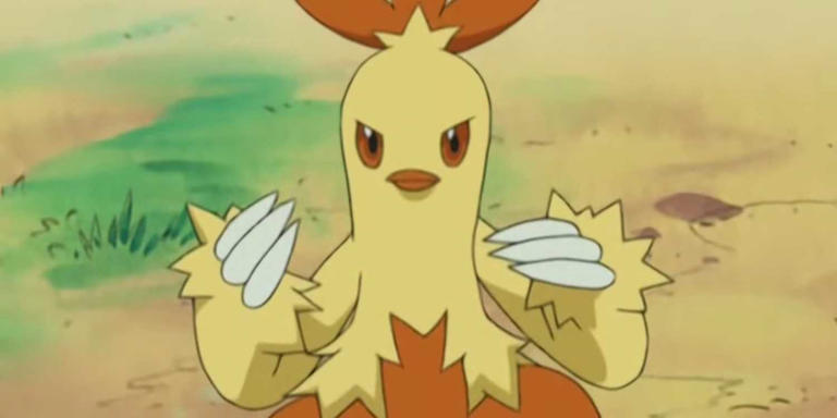 10 Cutest Fire Type Pokémon in the Hoenn Region, Ranked