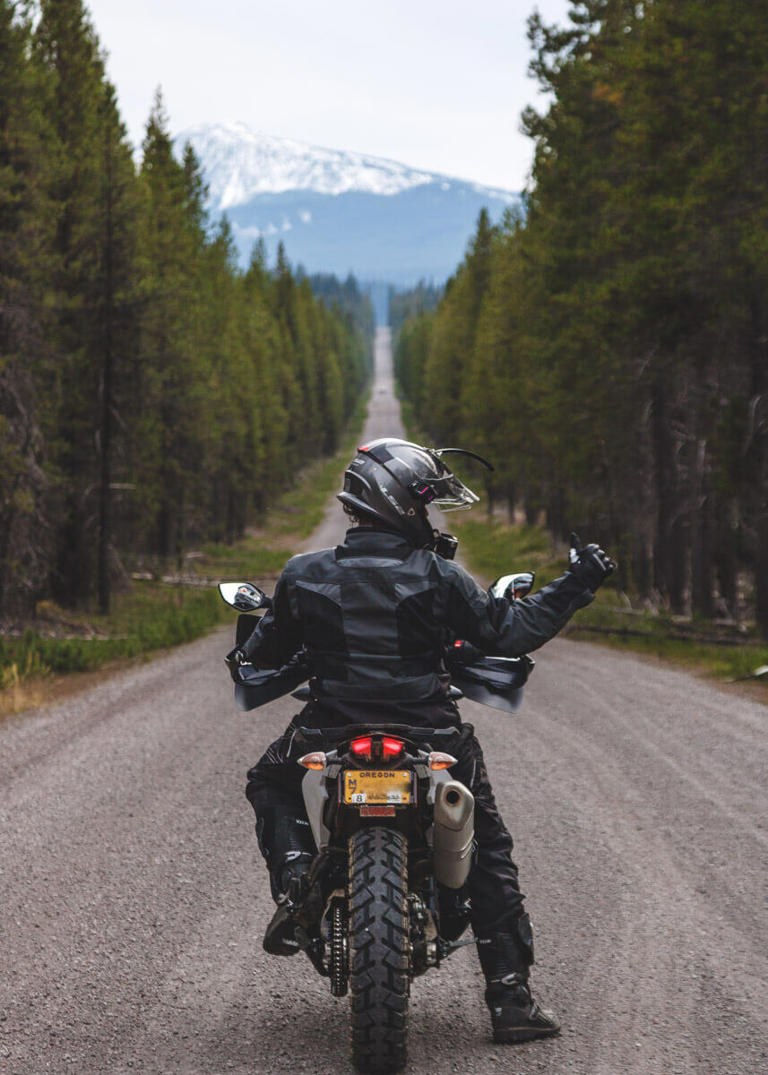 5 Best Winter Motorcycle Gloves To Beat The Chill This Off-Season