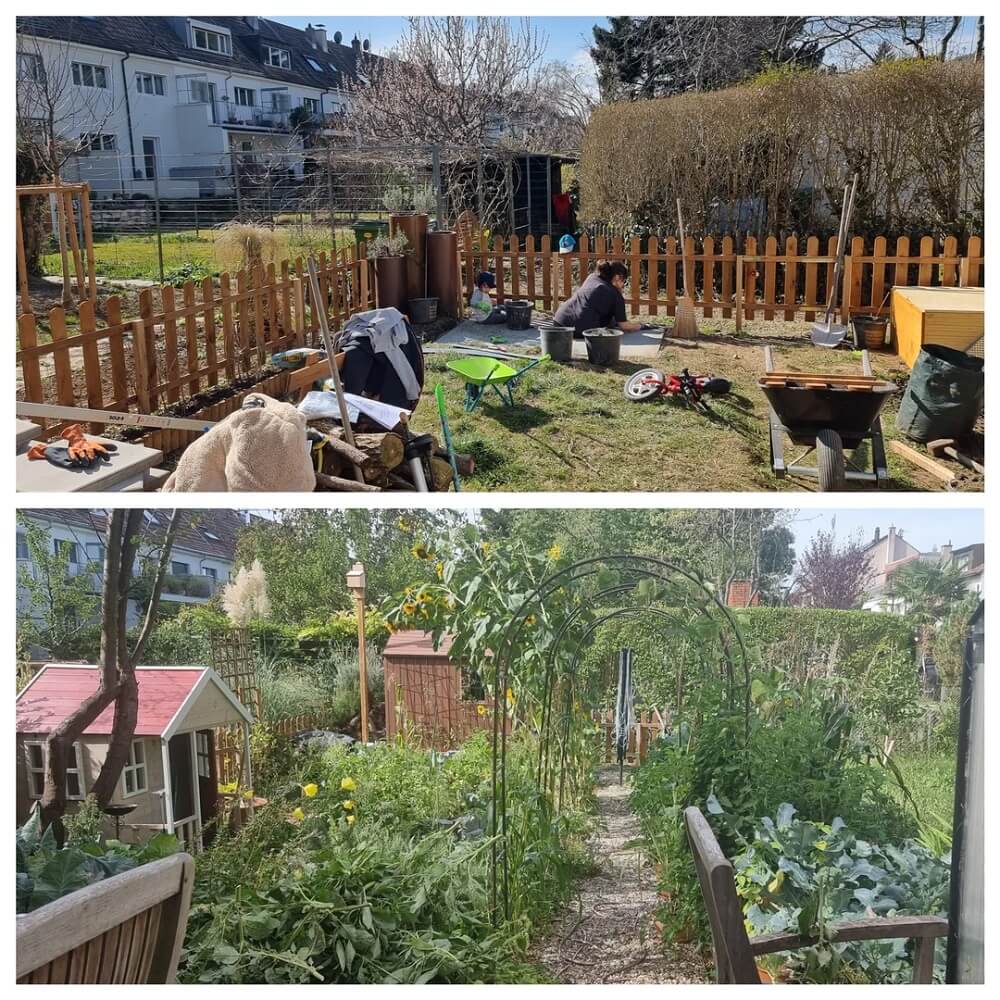 Homeowner shares incredible before-and-after photos of major yard ...