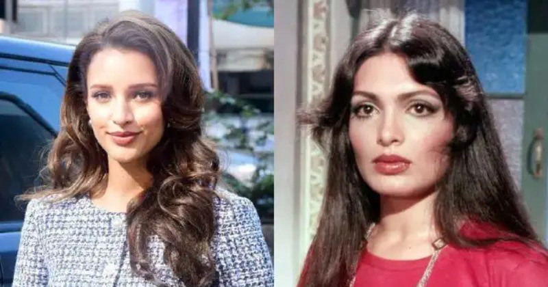 ‘Seated but unsure’: Fans have mixed reaction to reports of Triptii ... ‘Seated but unsure’: Fans have mixed reaction to reports of Triptii ...