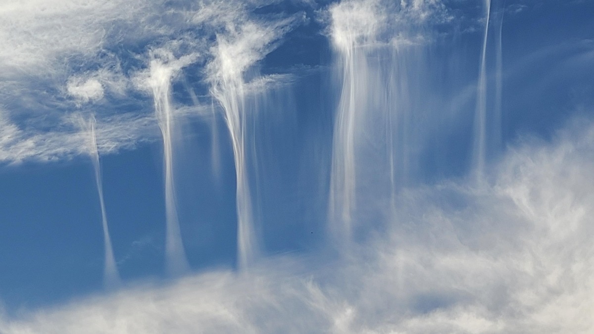 What are white lines in the sky? Understanding contrails and their impact