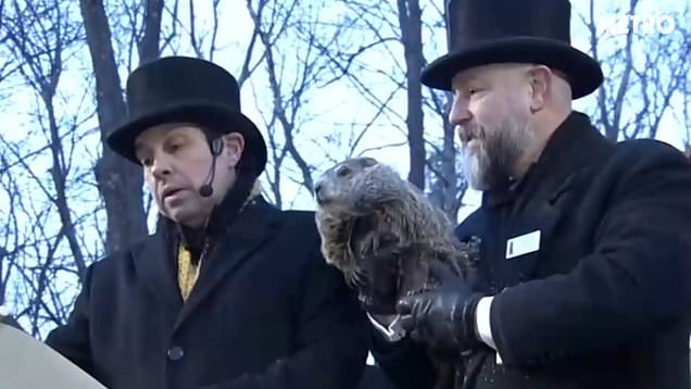 Groundhog Day: Punxsutawney Phil makes 2025 end of winter prediction