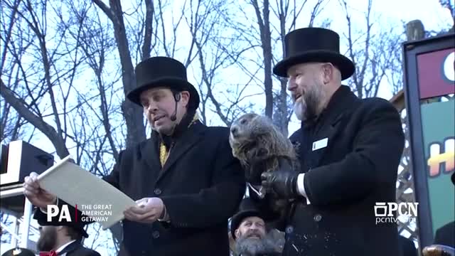Watch: Punxsutawney Phil makes his Groundhog Day 2025 prediction
