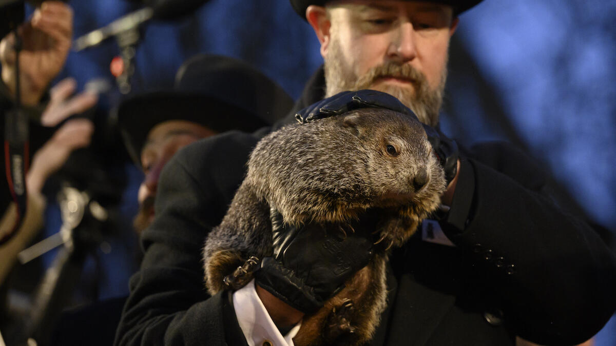 Groundhog Day 2025: Did Punxsutawney Phil See His Shadow?